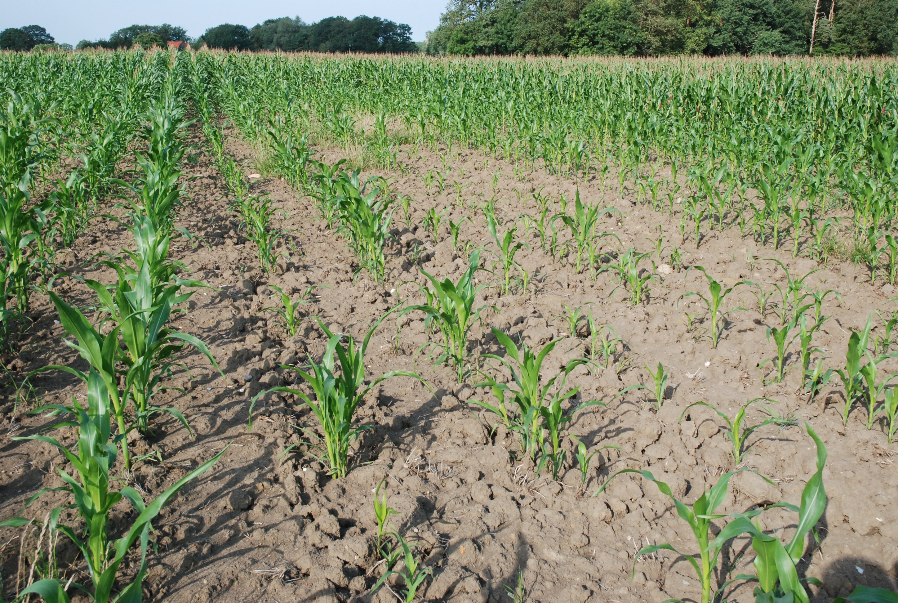 COMATRA - Agriculture TPMS